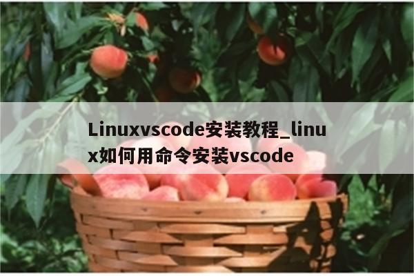 Linuxvscode安装教程linux如何用命令安装vscode 陕西卓智工作室 